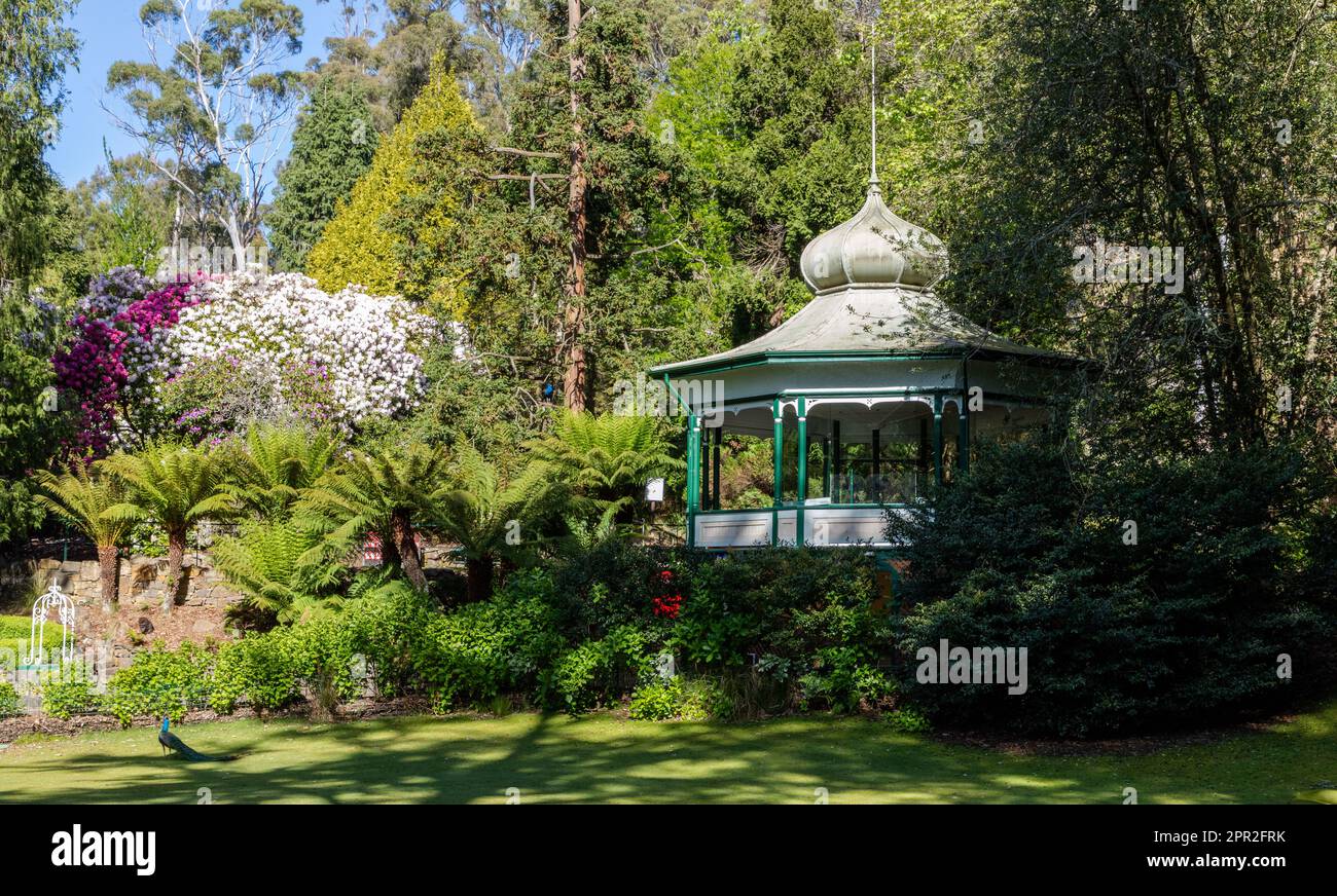 Cataract Gorge, Launceston, Tasmania, Australia Stock Photo - Alamy