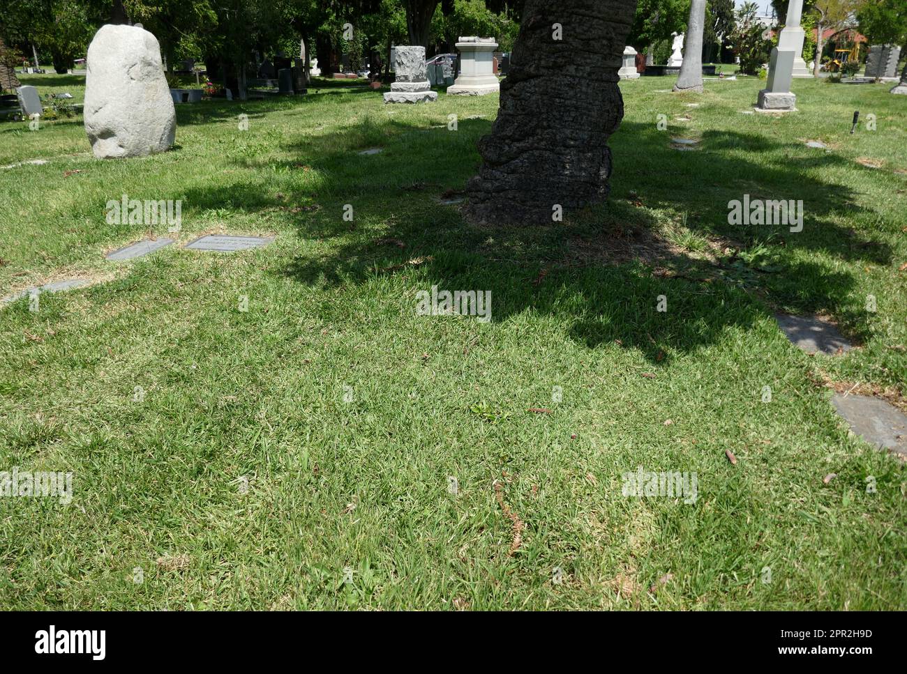 Georgine darcy hi-res stock photography and images - Alamy