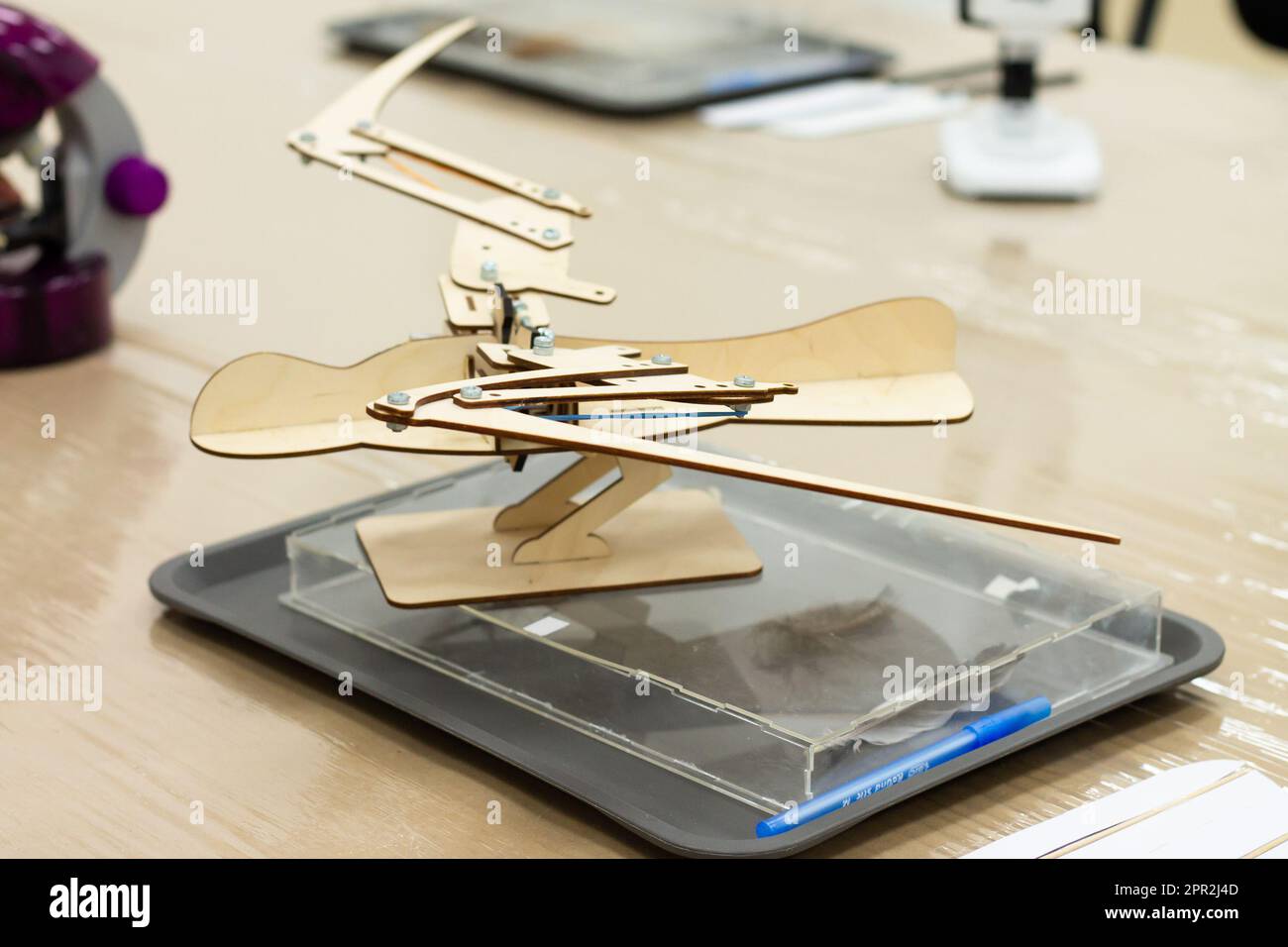 Movable wooden mock-up of a bird skeleton standing on the table at a ...