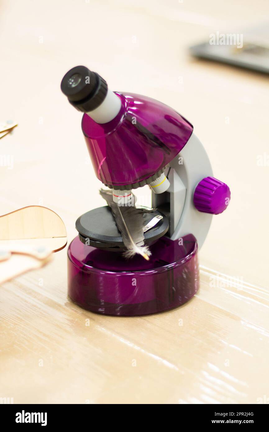 Purple microscope with a bird feather, at a children's science event ...