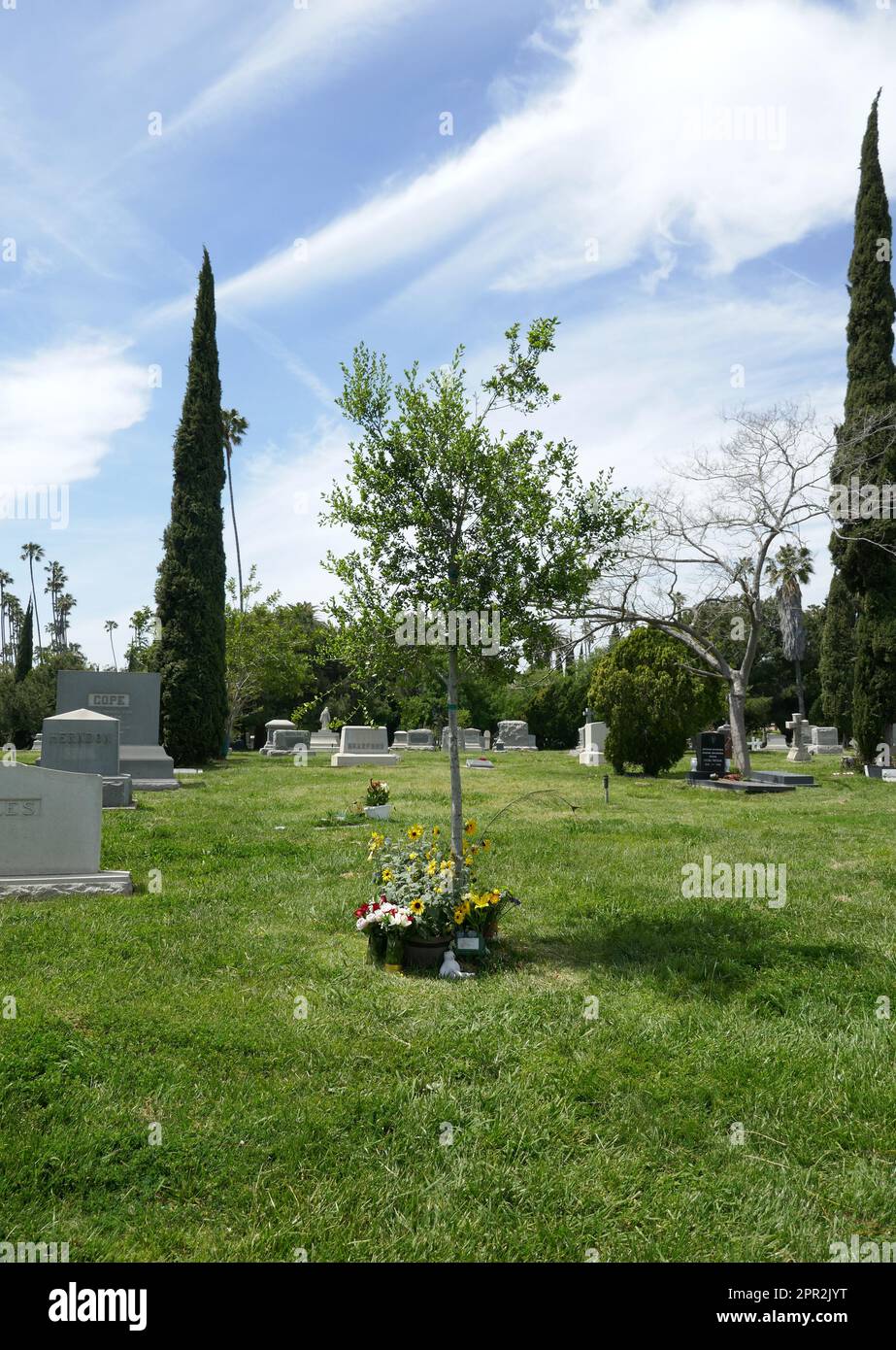 Los Angeles, California, USA 22nd April 2023 Comedian Trevor Moore Grave at Hollywood Forever ...