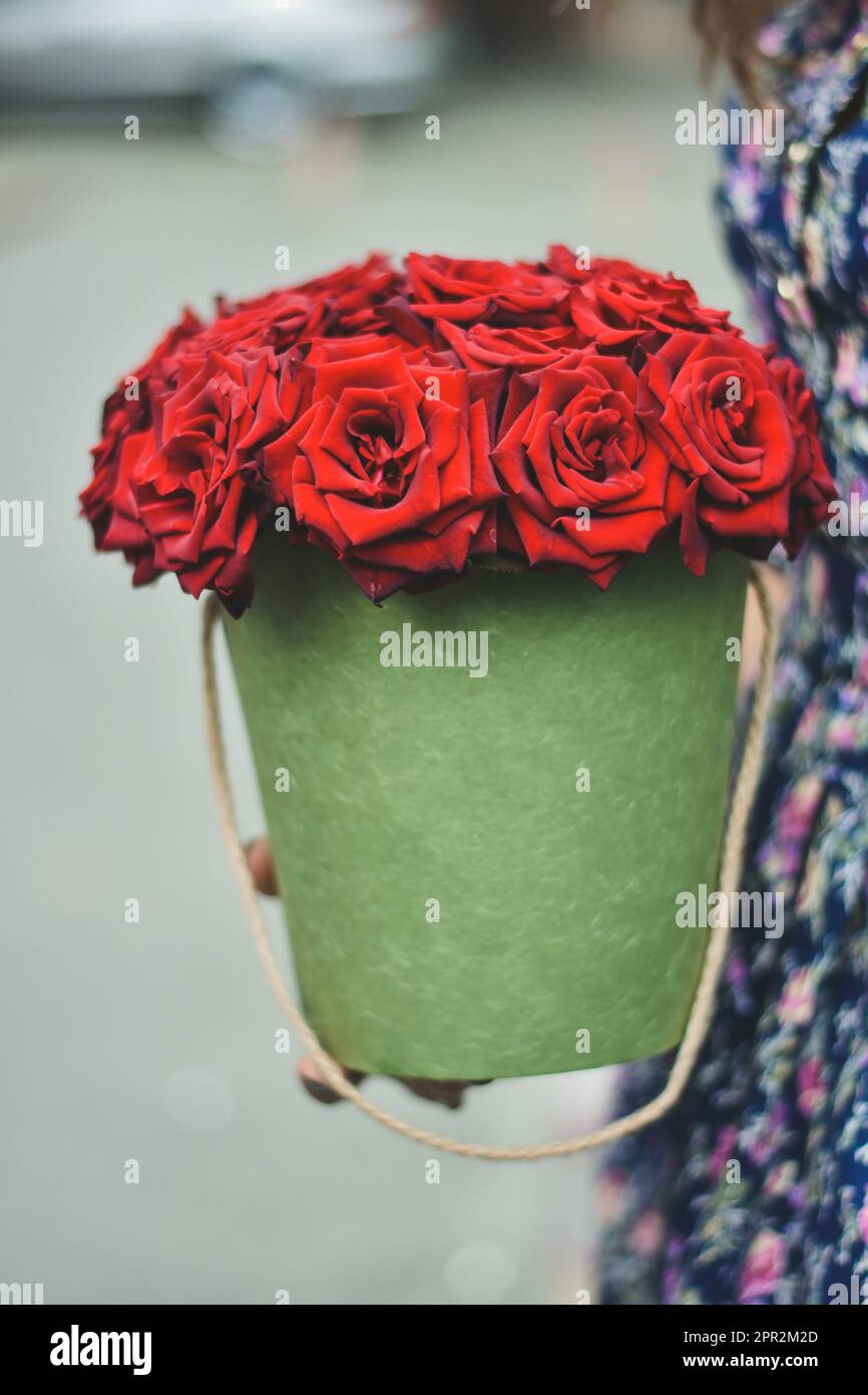 a bucket with red roses in his hands Stock Photo - Alamy