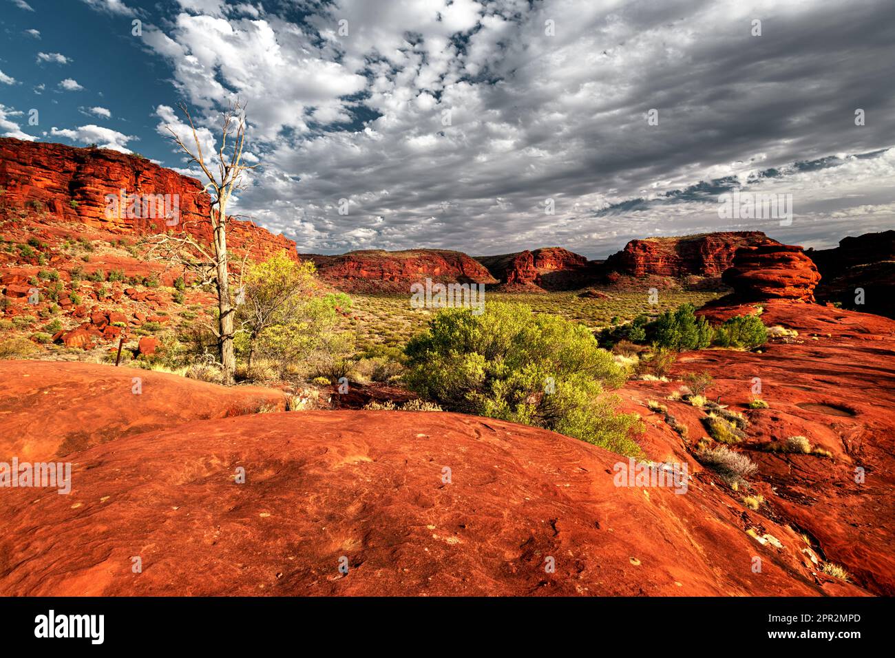 Finke gorge national park hi-res stock photography and images - Alamy