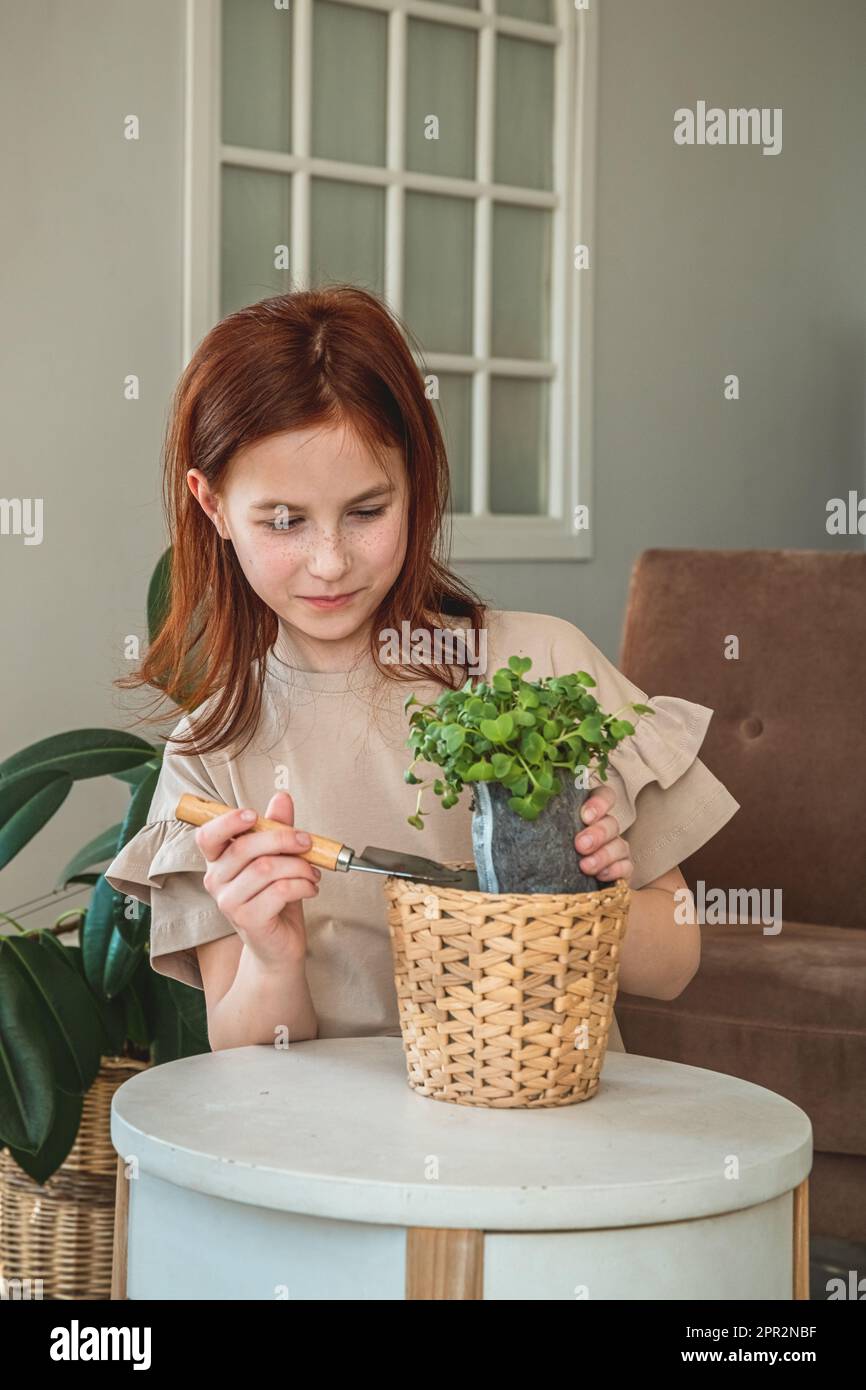 Little toddler girl planting seeds in the pots. Child helping to care ...