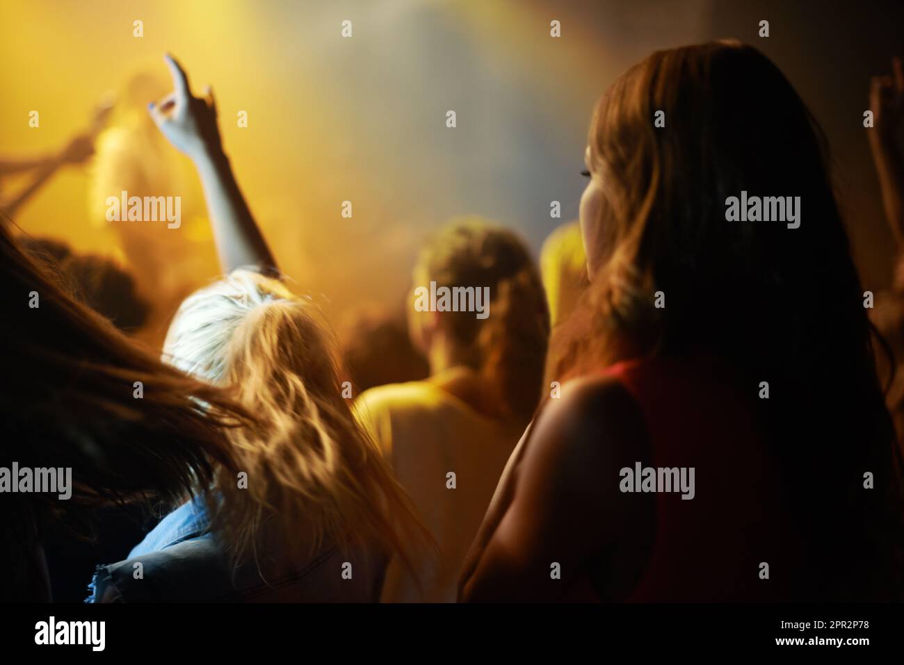 Back of woman in crowd, fan at concert or music festival watching rock ...
