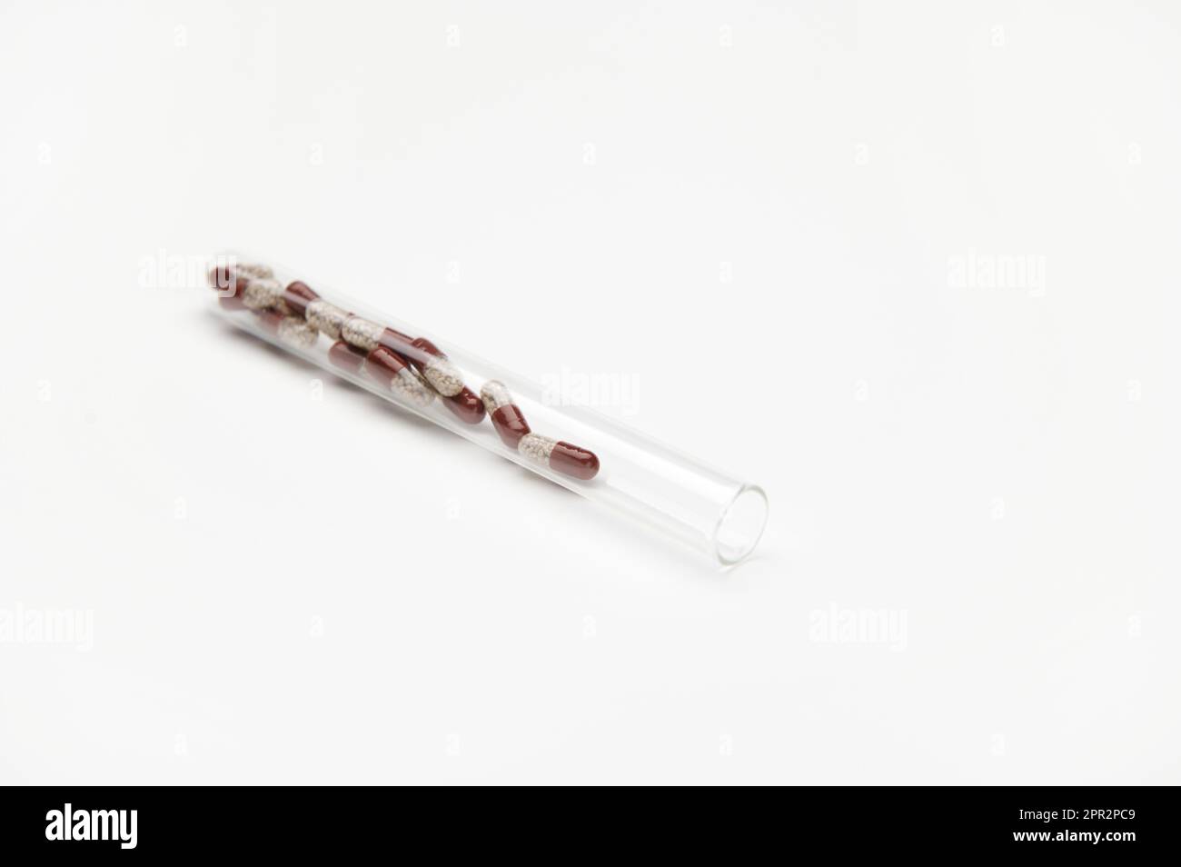 Still life. A laboratory test tube with translucent capsule containing ...