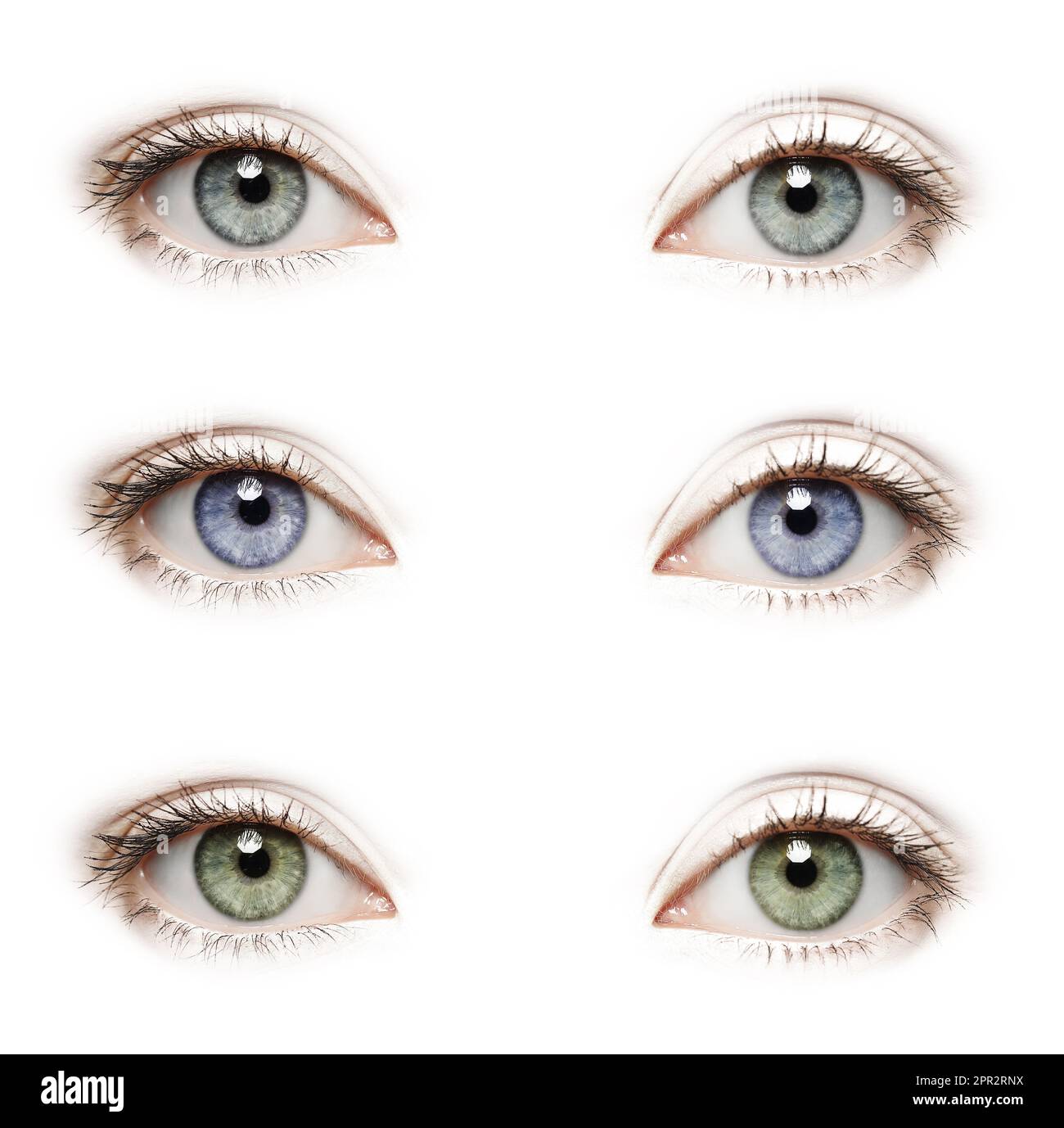 Beautiful human eyes isolated on white, closeup. Collage Stock Photo ...