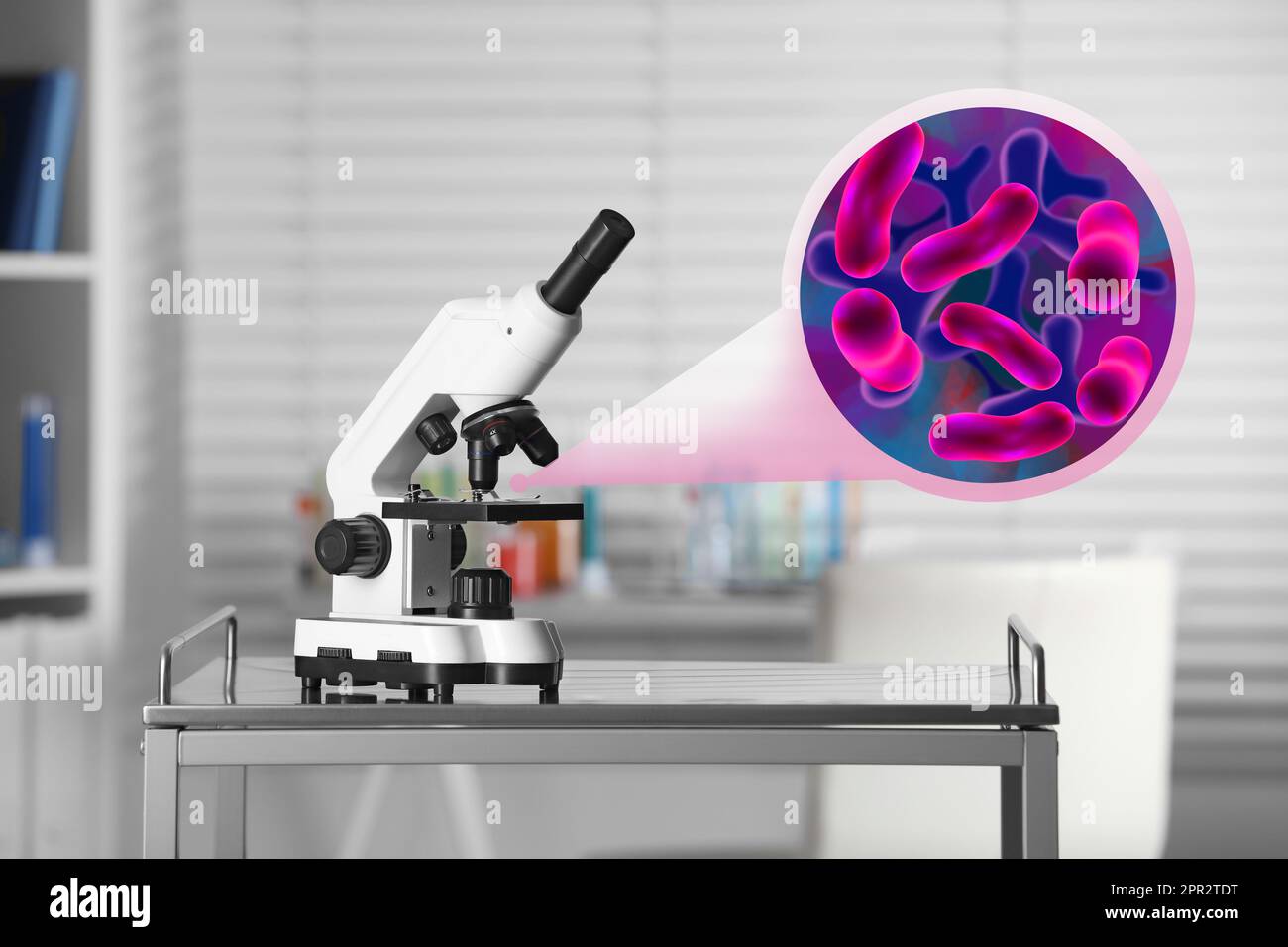 Examination of sample with bacteria under microscope in laboratory ...