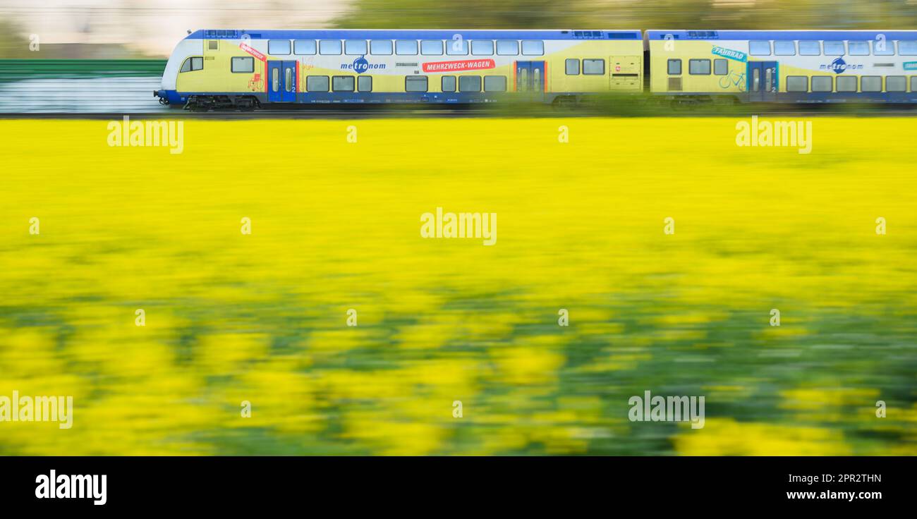 Laatzen, Germany. 26th Apr, 2023. A Metronom train passes a blooming ...