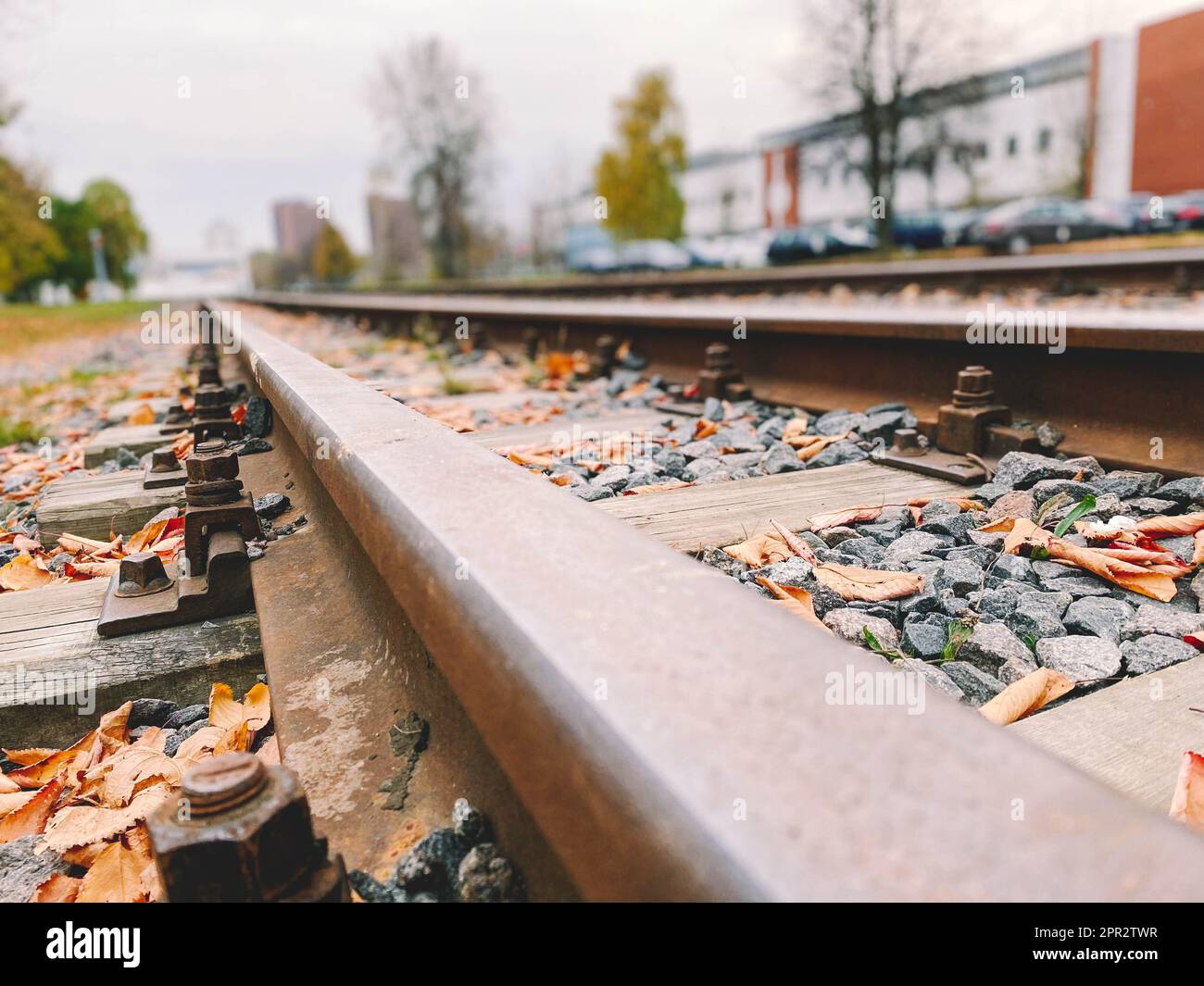 old, abandoned railroad. stones and yellowed leaves on the metal rails ...