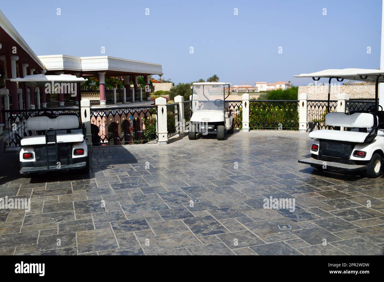 White electric golf cars are parked in small electric vehicles with ...