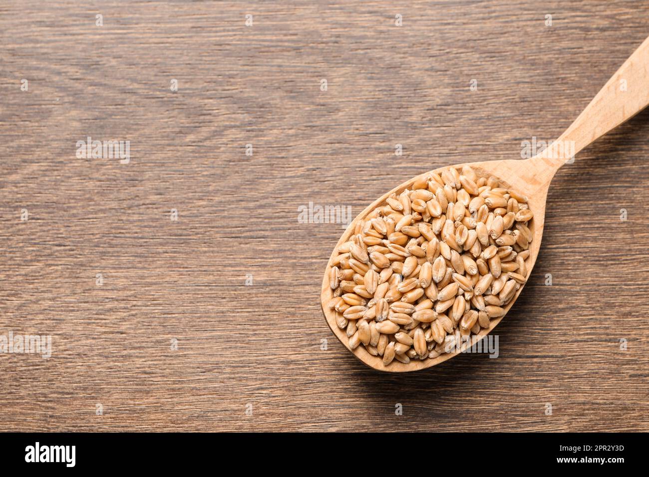 Wheat grains in spoon on wooden table, top view. Space for text Stock ...
