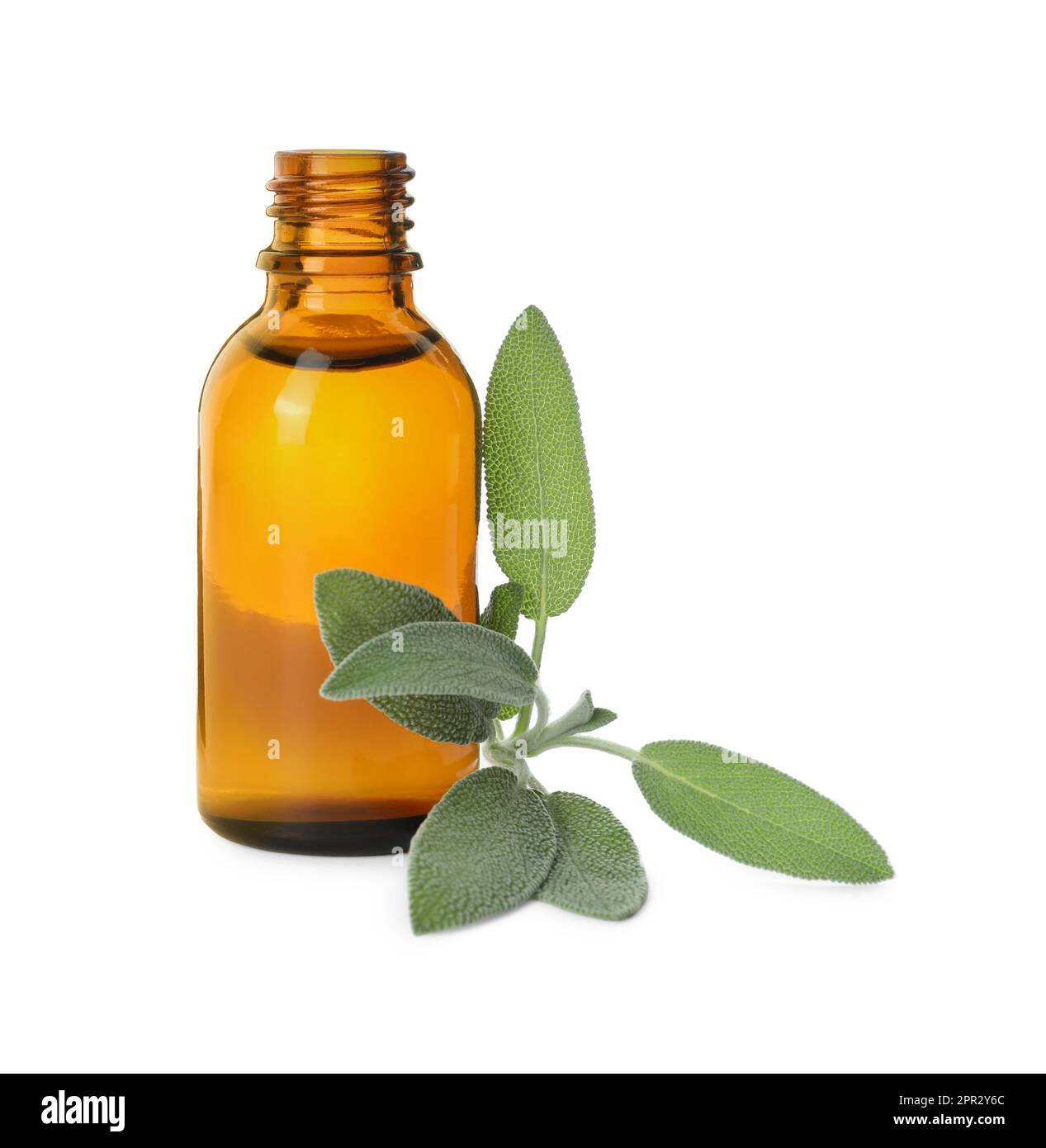 Bottle of essential oil and sage isolated on white Stock Photo - Alamy
