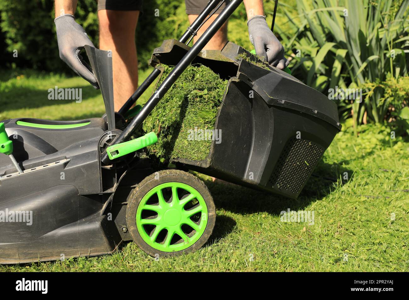 Man removing grass out of lawn mower box in garden, closeup Stock Photo ...