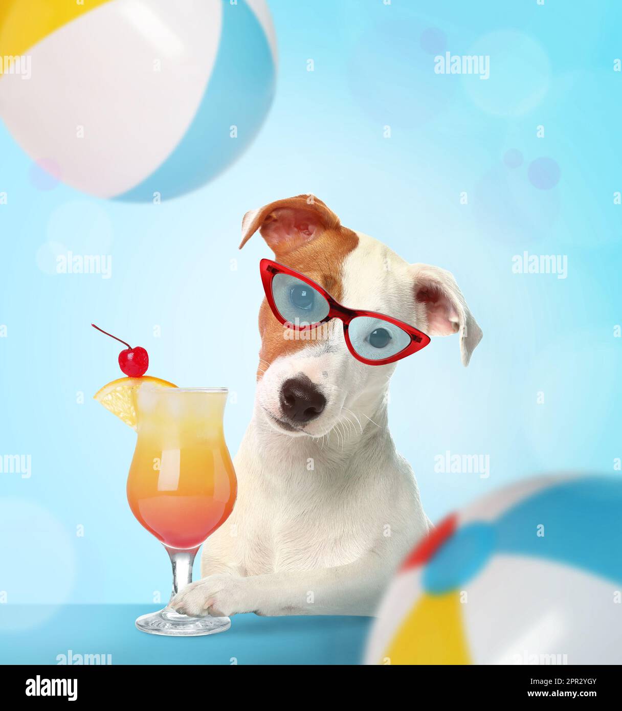 Cute dog in sunglasses with cocktail on light blue background. Summer ...
