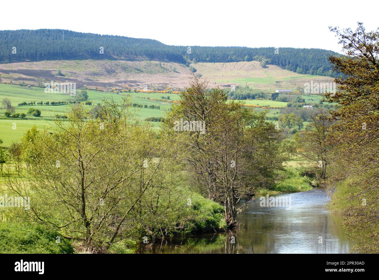 River Coquet with views of the Simonside hills , Rothbury ...