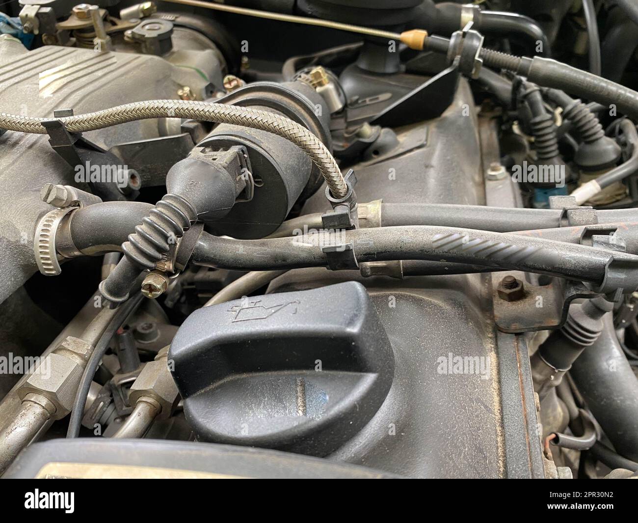 Muscle maintenance hi-res stock photography and images - Alamy