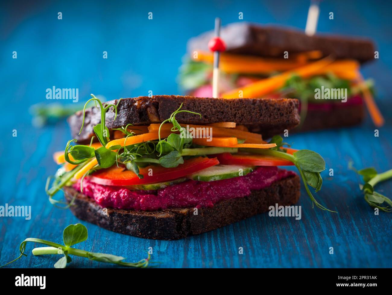 gluten free vegan sandwiches with beet hummus, raw vegetables and ...