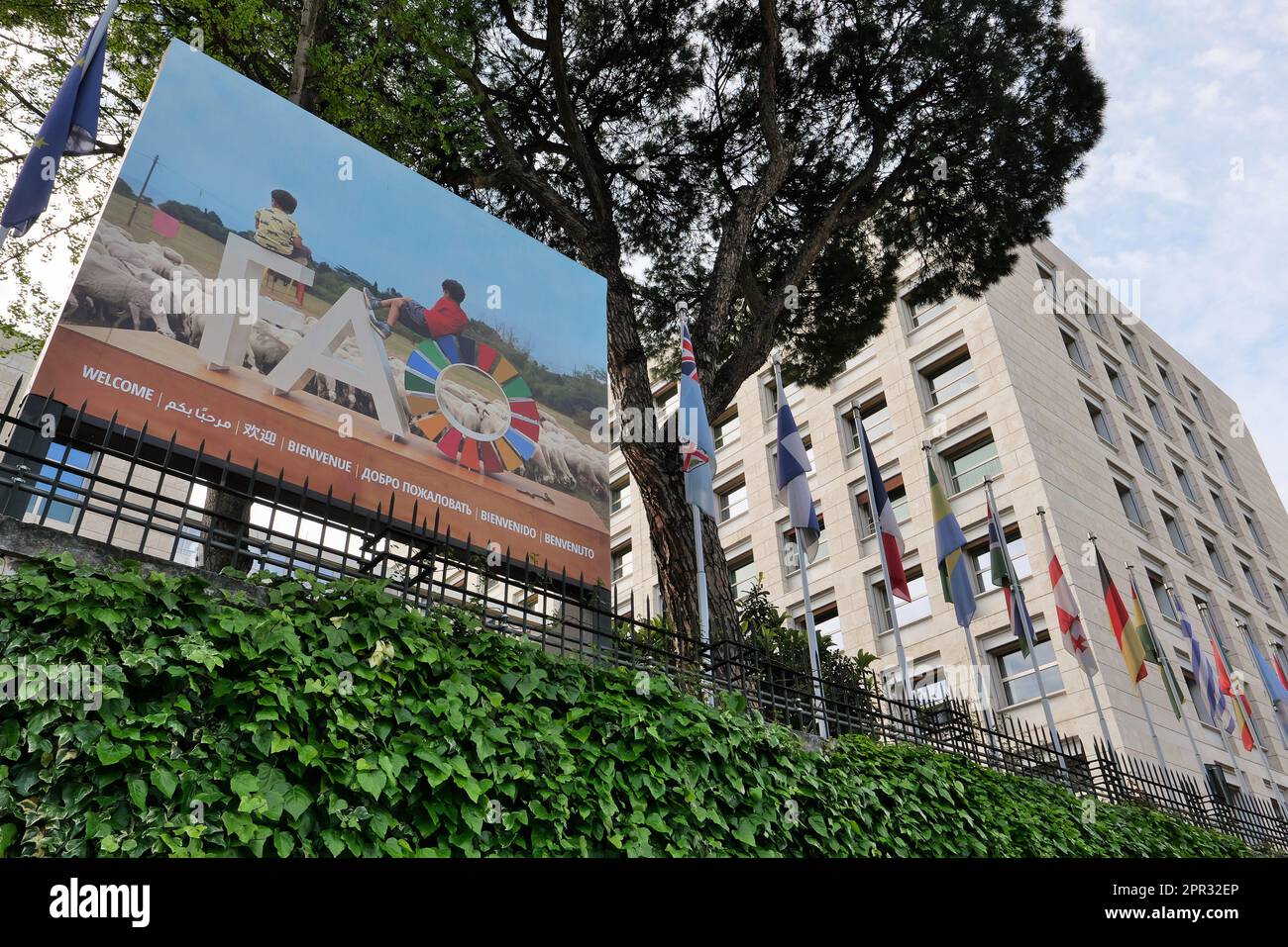 Fao icon hi-res stock photography and images - Alamy