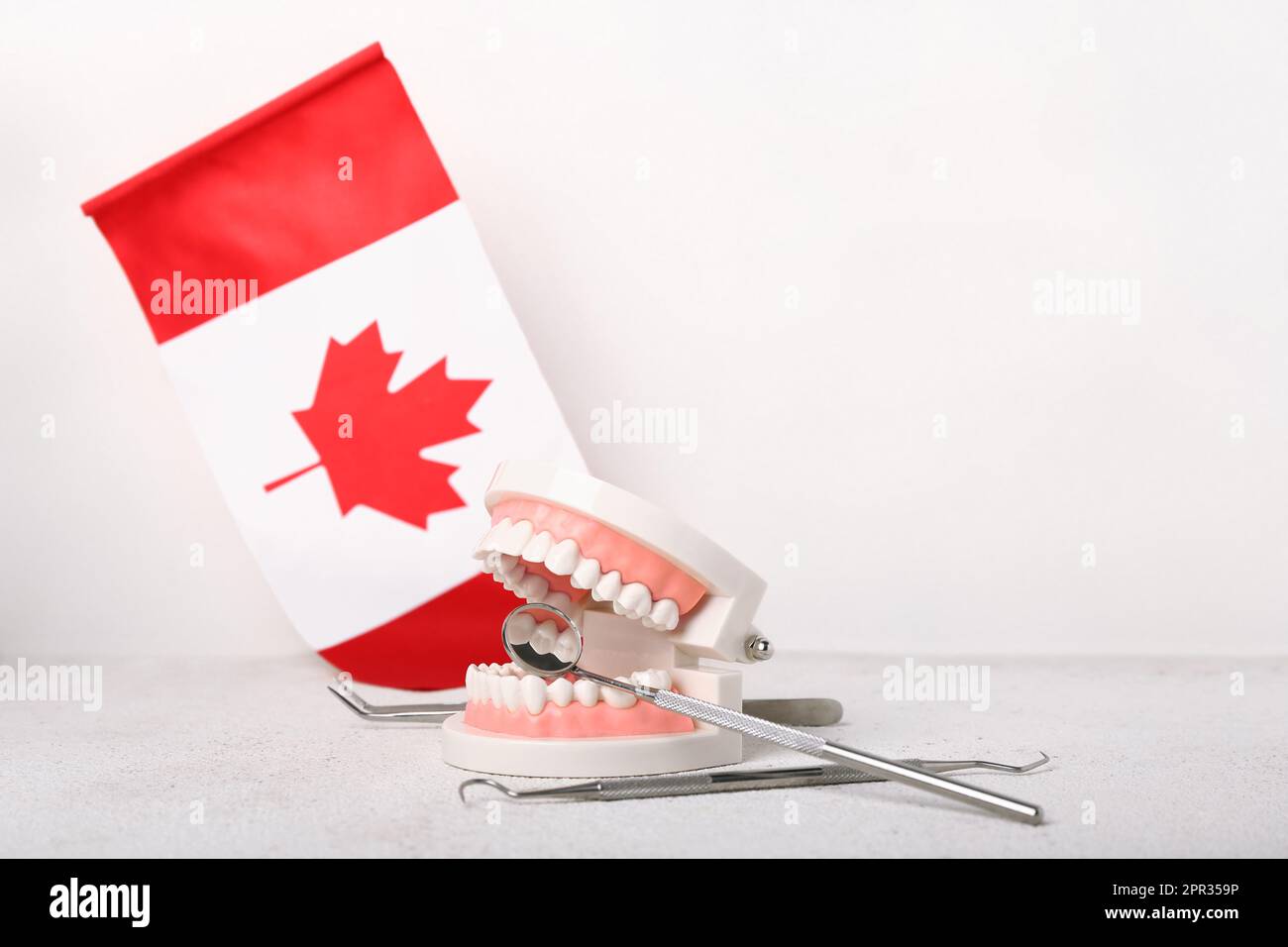 Jaw model with dental tools and flag of Canada on white table Stock ...