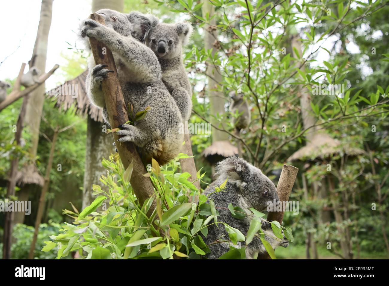 Guangzhou City, China, 25 April, 2023. **CHINESE MAINLAND, HONG KONG ...