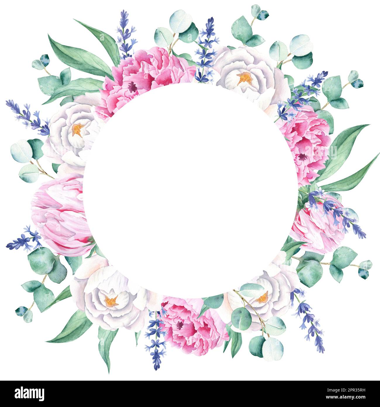 Watercolor pink and white peonies, eucalyptus branches, lavender circle ...
