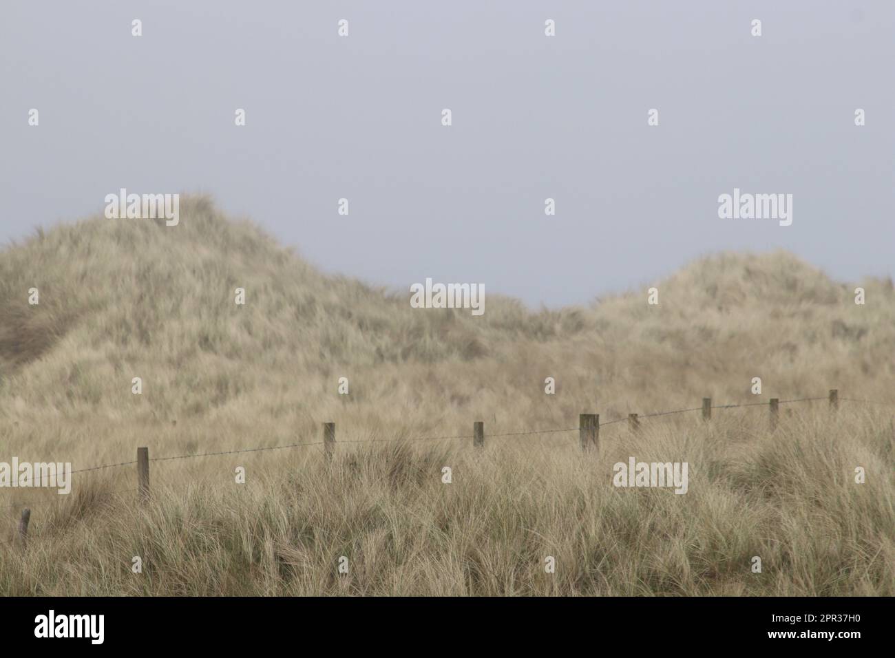 Fence on sand dunes Stock Photo - Alamy