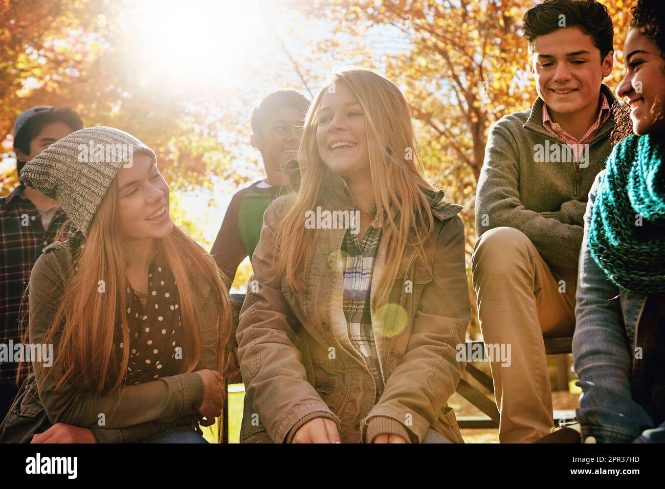 Fun filled days of youth. a group of young friends enjoying a day at ...