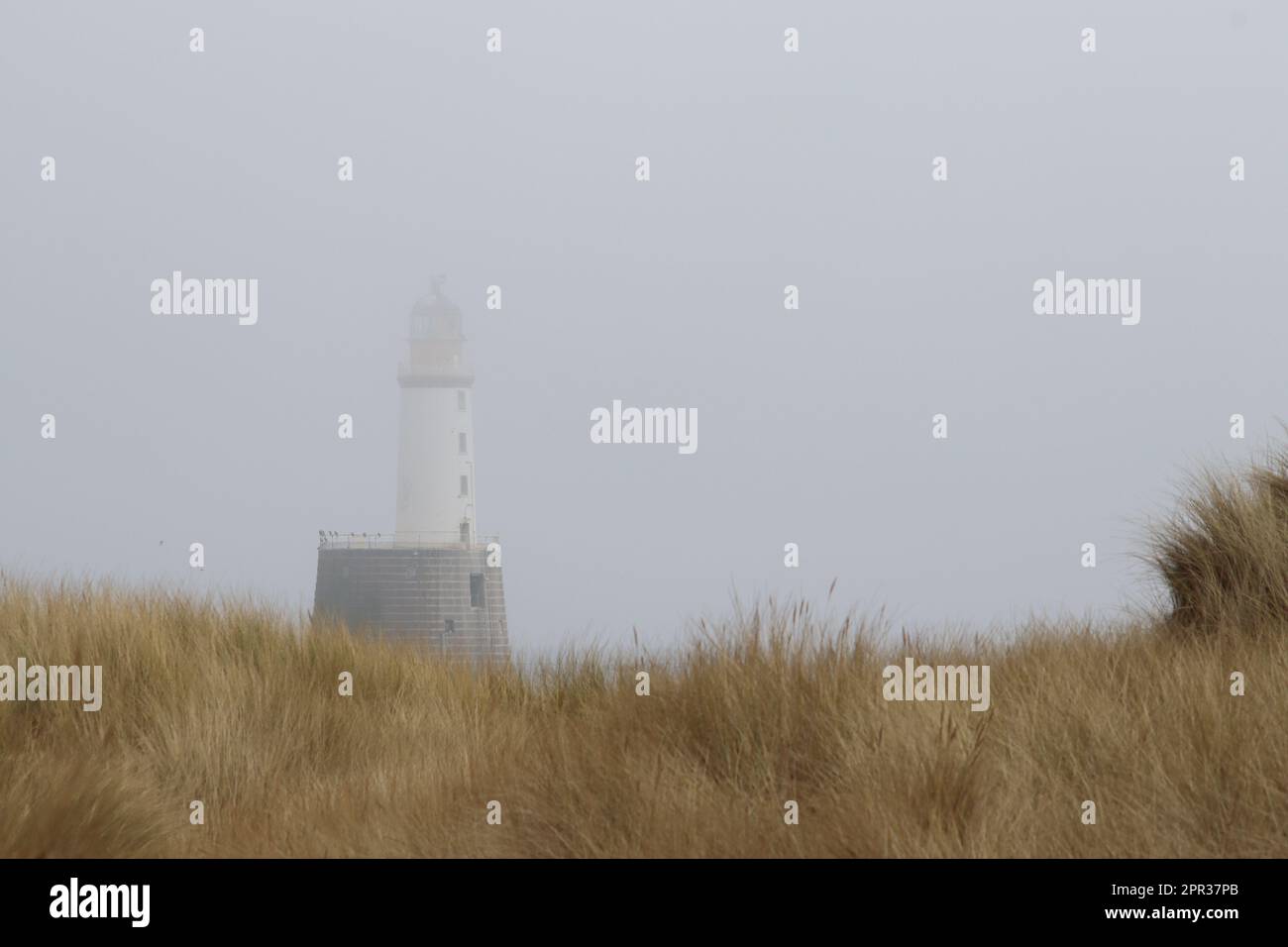 White lighthouse in mist Stock Photo - Alamy