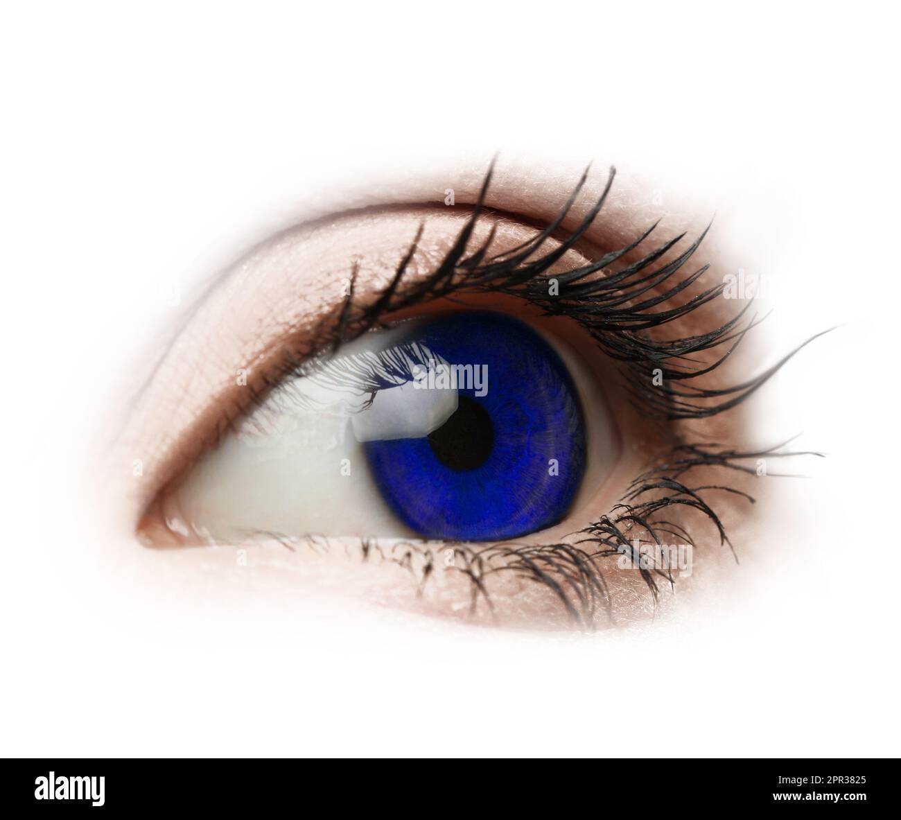 Bright white eyebrow hi-res stock photography and images - Alamy