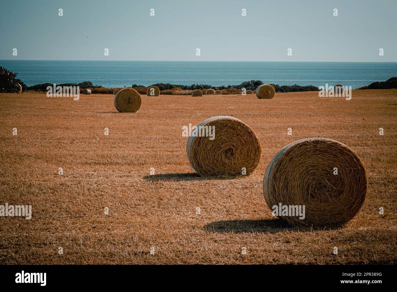 COAST OF THE TRULLI - RIPAGNOLA, POLIGNANO A MARE, PUGLIA, ITALY Stock ...
