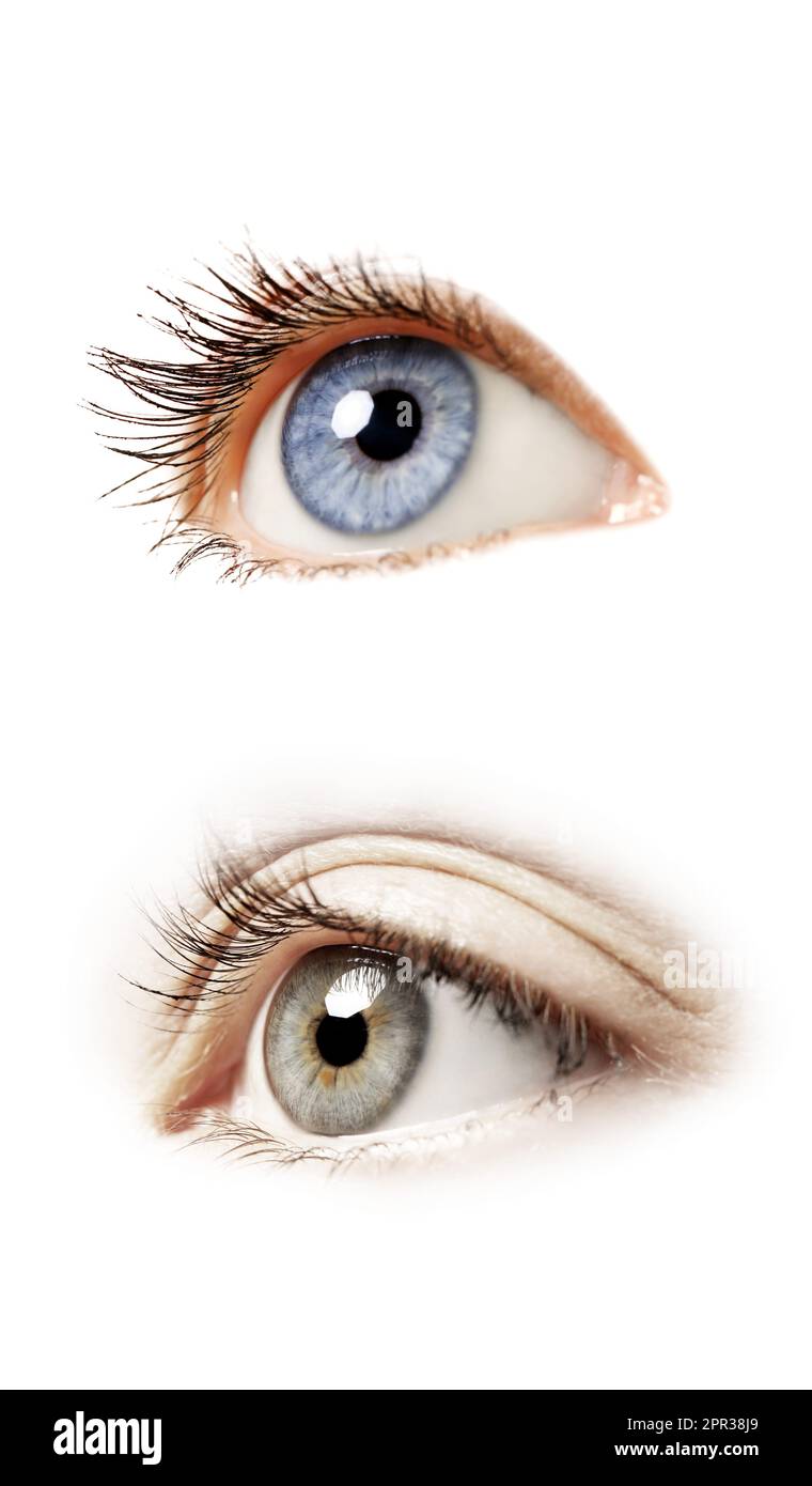 Beautiful human eyes isolated on white, closeup. Collage Stock Photo ...