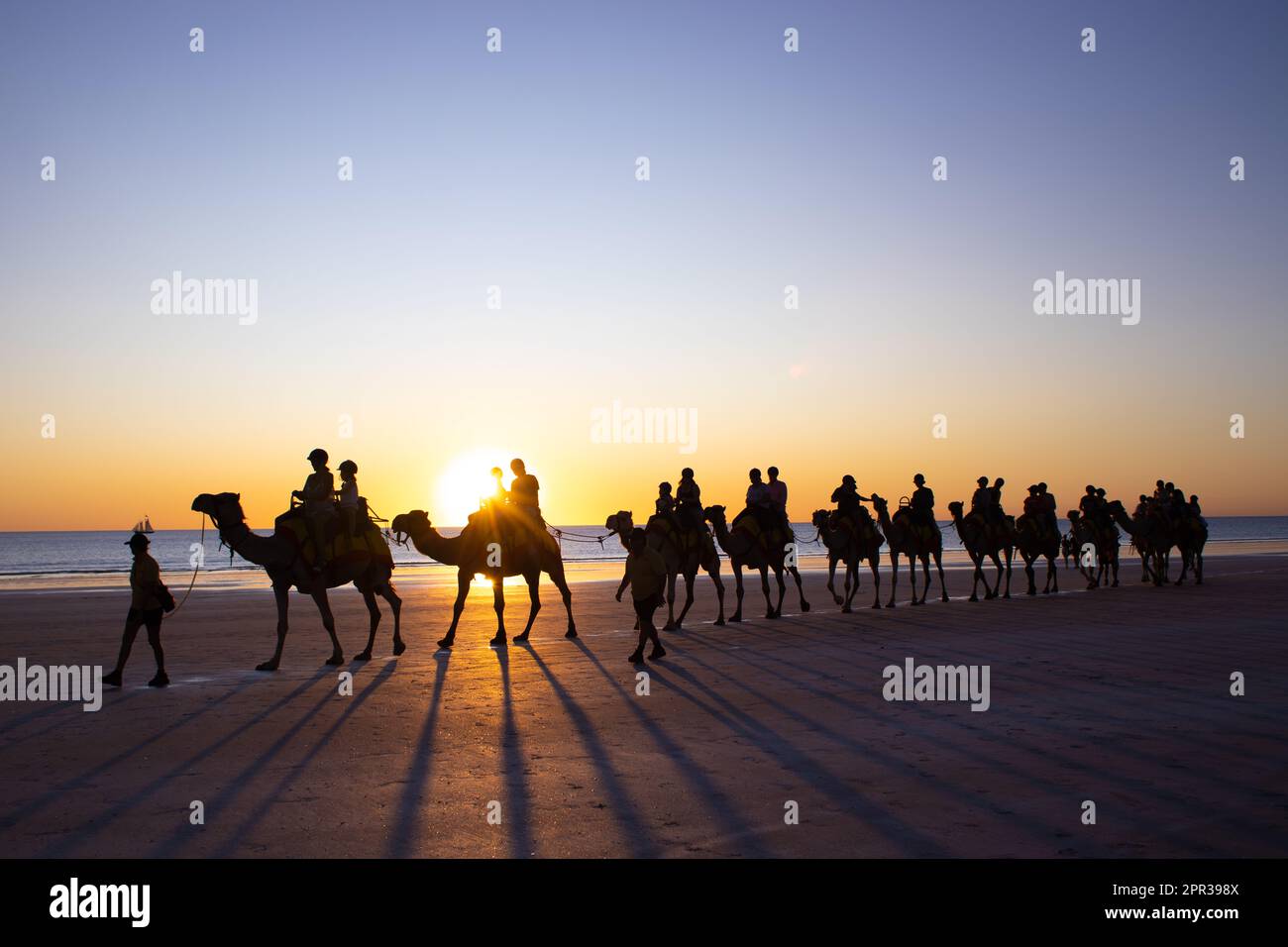 Camels on the Beach at Broome WA, Australia. These camel trains are ...