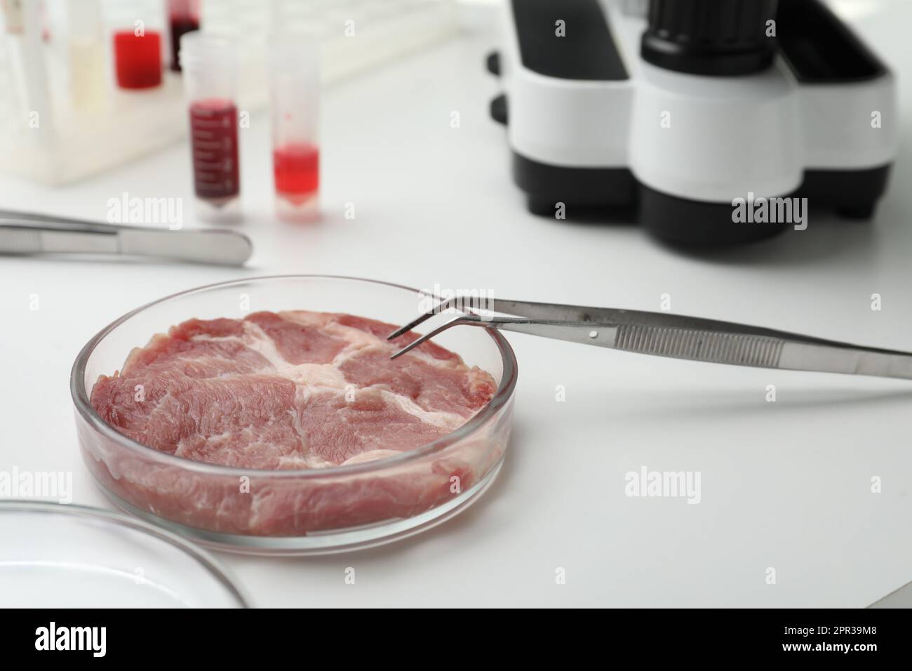 Sample of cultured meat on white lab table Stock Photo - Alamy