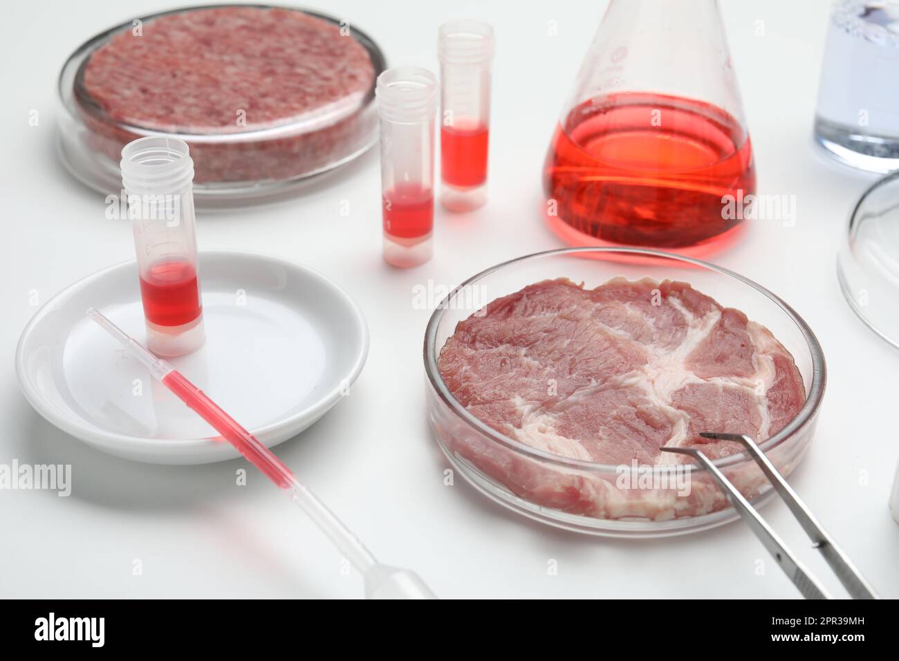 Samples of cultured meats on white lab table Stock Photo - Alamy