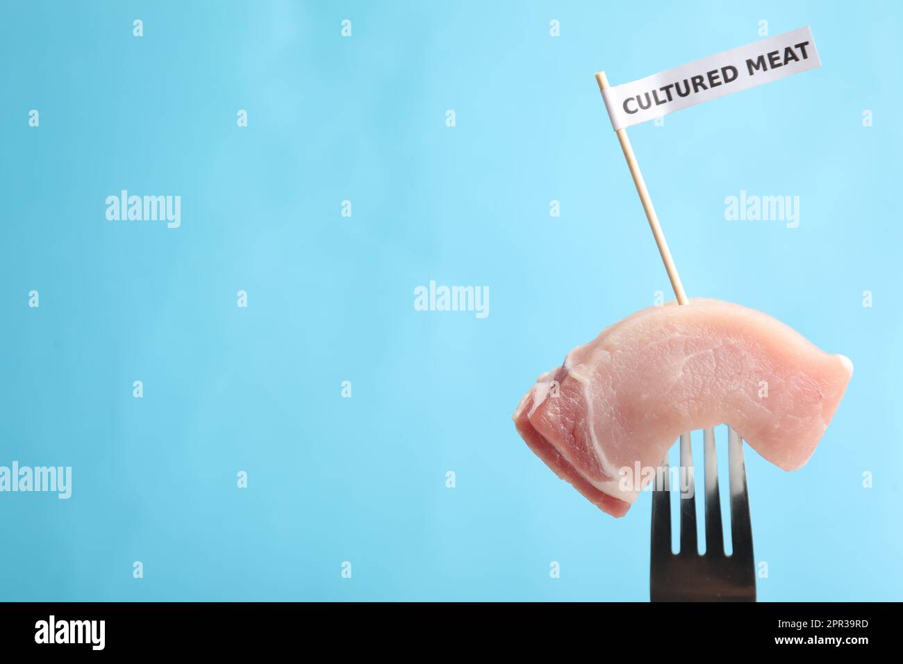 Sample of lab grown pork labeled Cultured Meat on fork against light ...