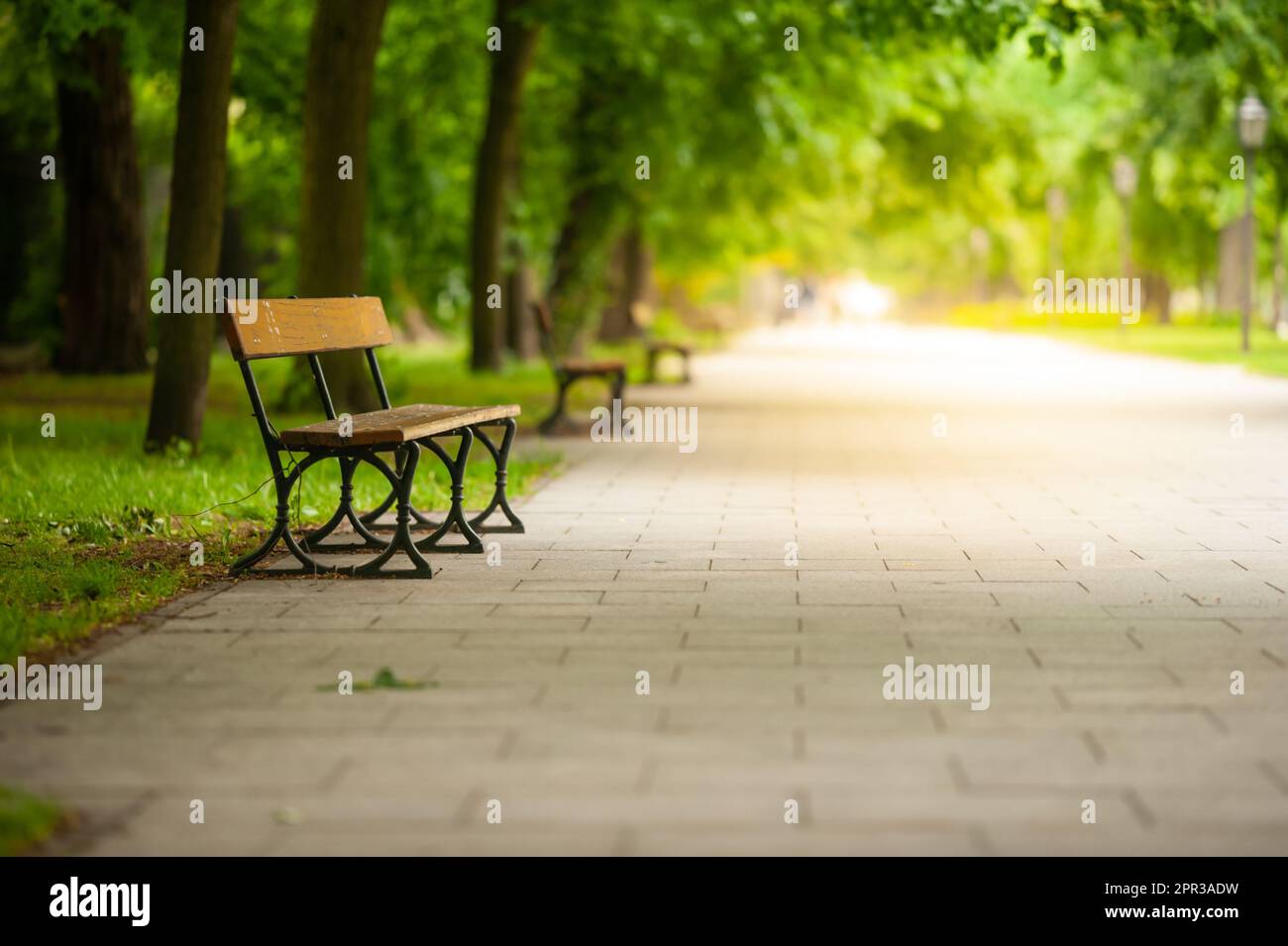 Beautiful view of green park with path and wooden bench. Space for text ...