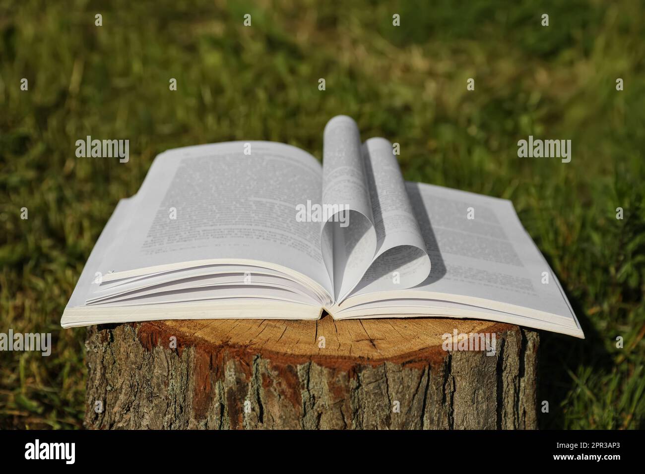 Open book on tree stump in countryside Stock Photo - Alamy