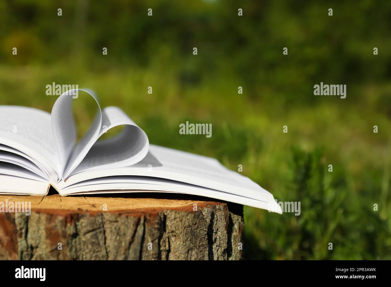 Open book on tree stump outdoors, closeup. Space for text Stock Photo ...