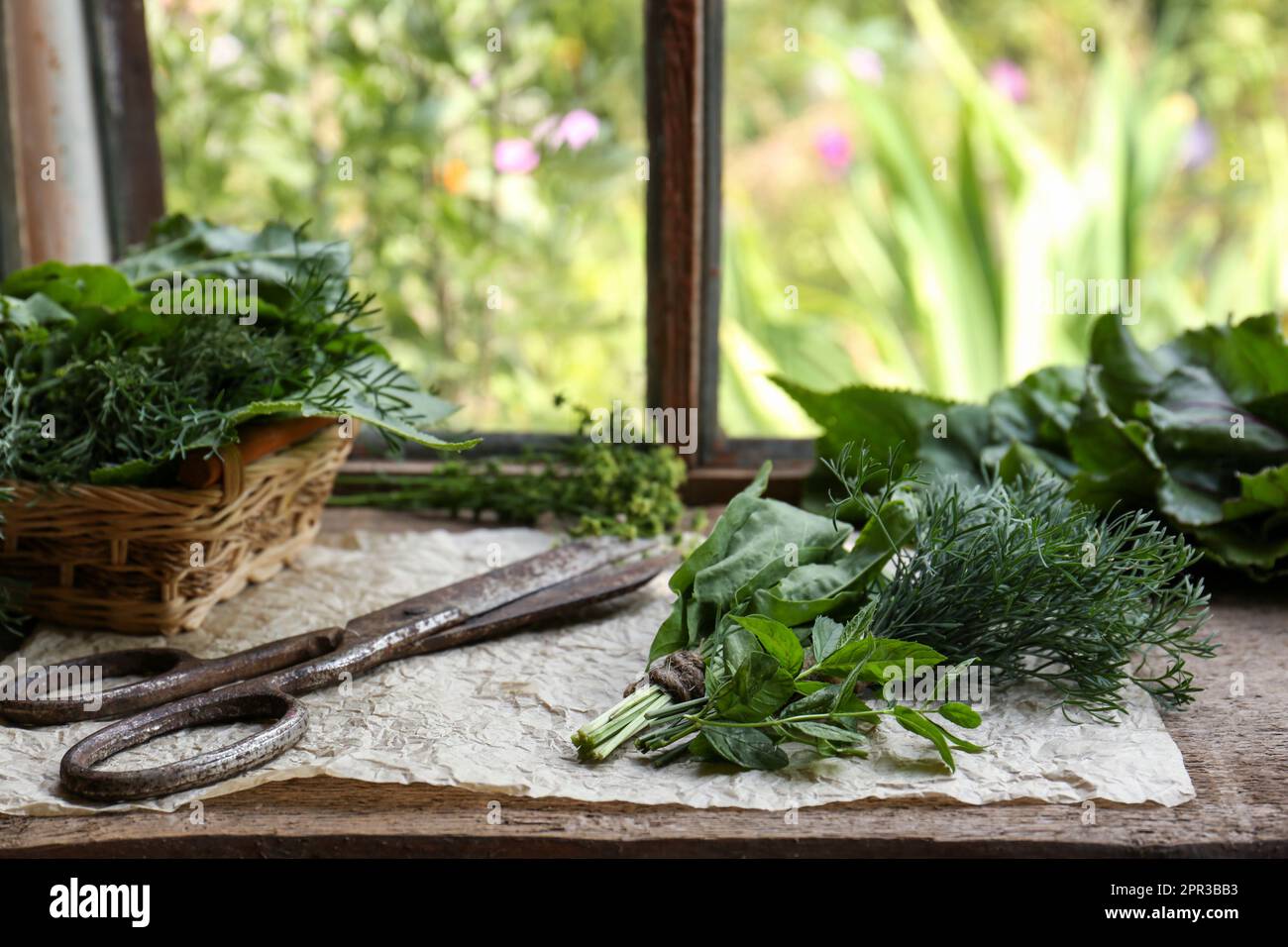 Different herbs and rusty scissors on window sill indoors Stock Photo ...