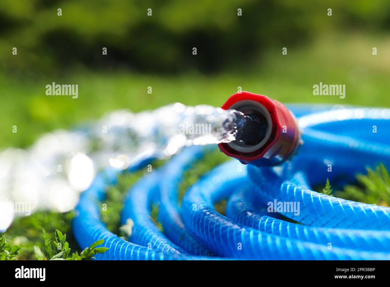 Pour water and grass closeup hi-res stock photography and images - Alamy