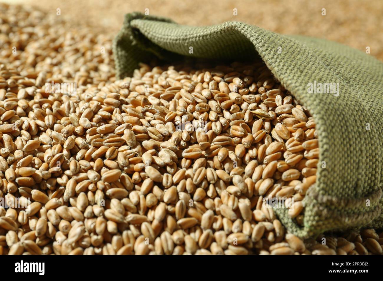 Sack with many wheat grains, closeup view Stock Photo - Alamy