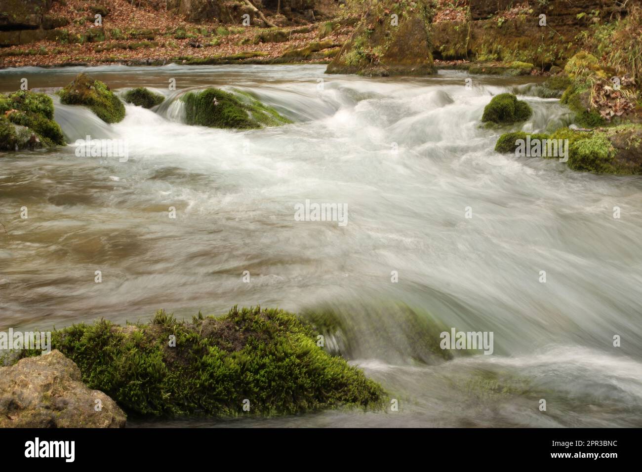 mountain stream in winter with fallen leaves and moss with water at ...