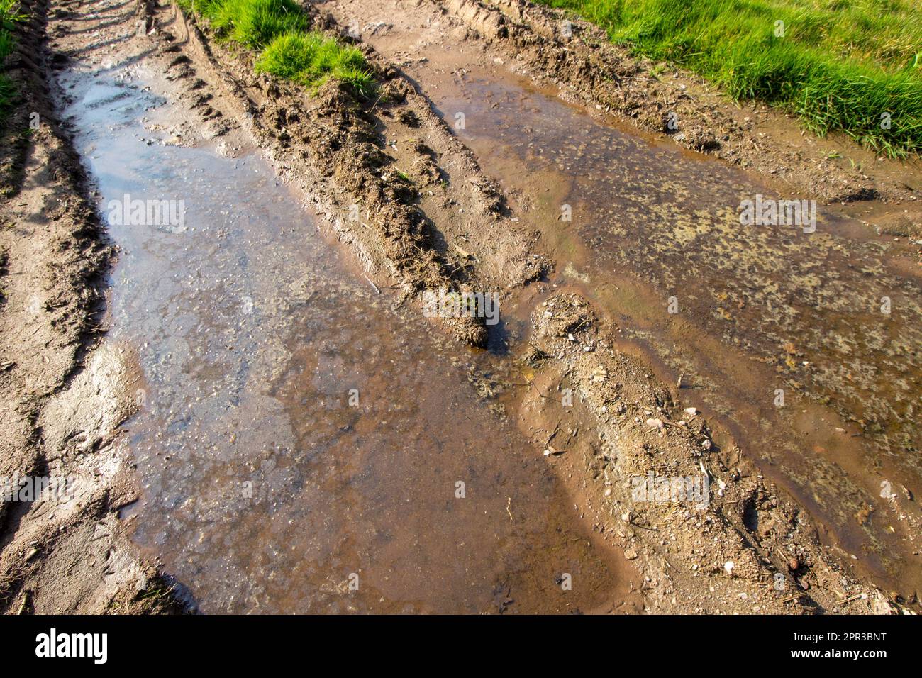 muddy puddle with tyre tracks and green grass Stock Photo - Alamy