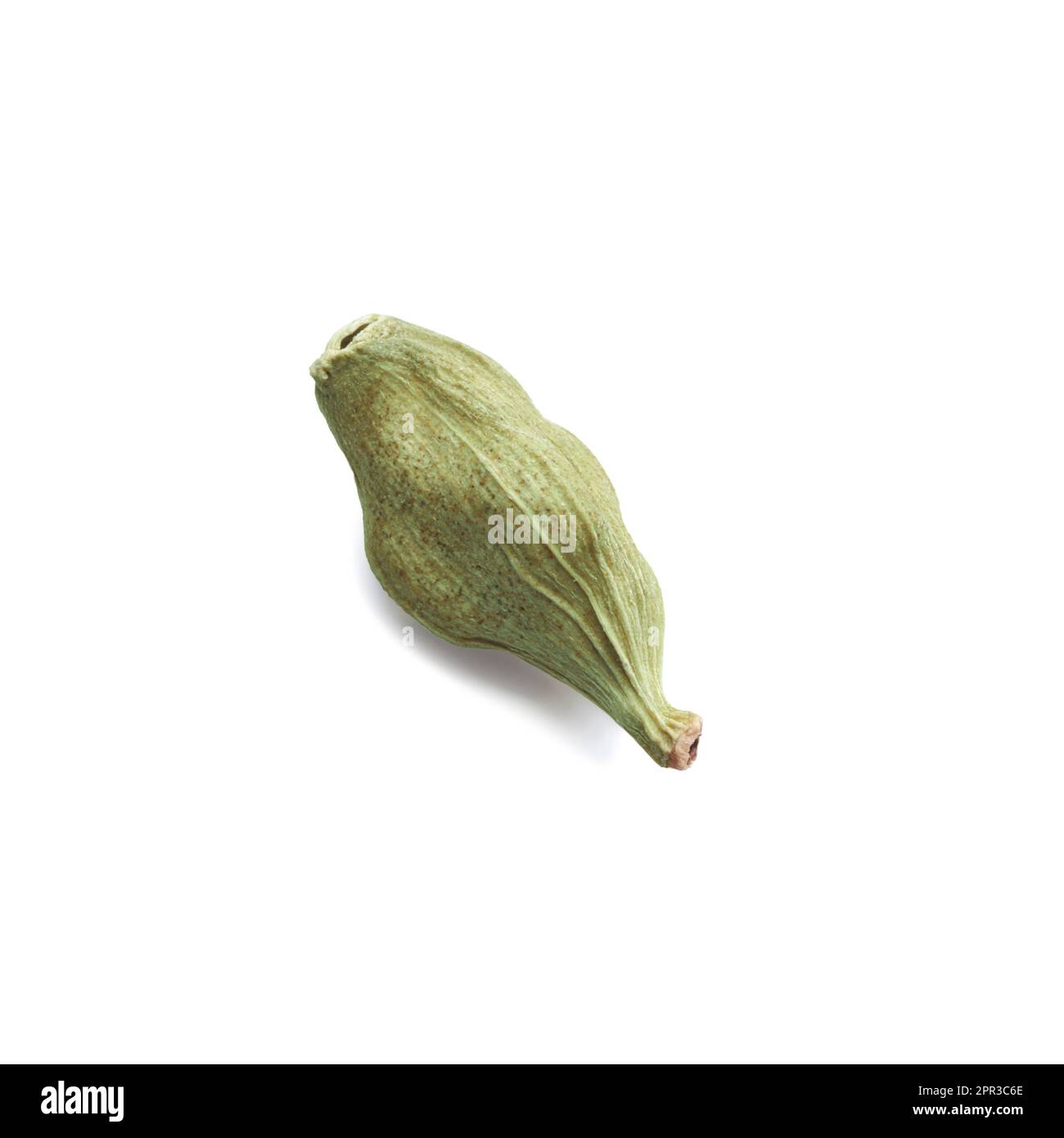 Dry green cardamom pod isolated on white Stock Photo - Alamy