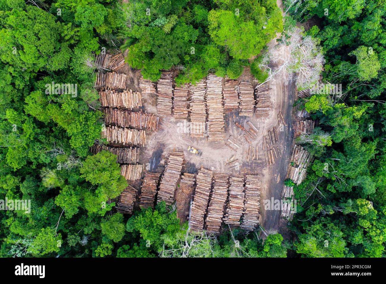 Aerial view illegal logging industrial hi-res stock photography and ...