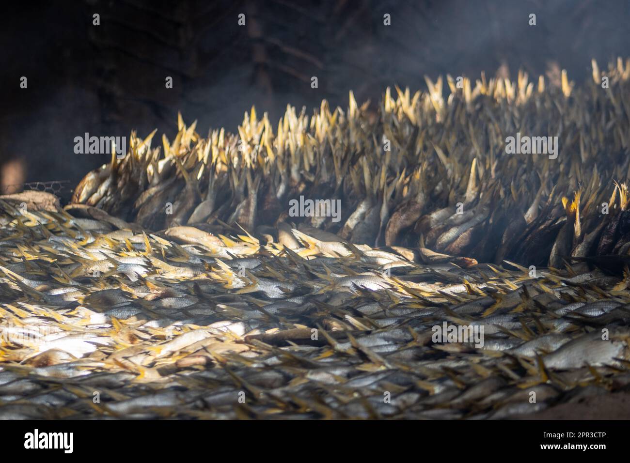 racks of smoking fresh caught bonga fish (Ethmolosa fimbriata) in The ...