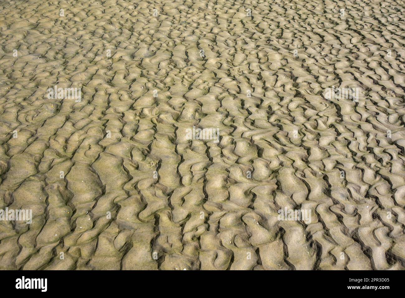 ridged sand patterns made when the wave goes out on the beach Stock ...