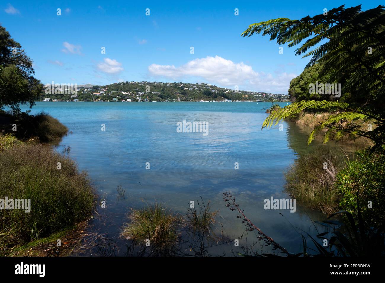 Pauatahanui Inlet, Porirua, North Island, New Zealand Stock Photo - Alamy