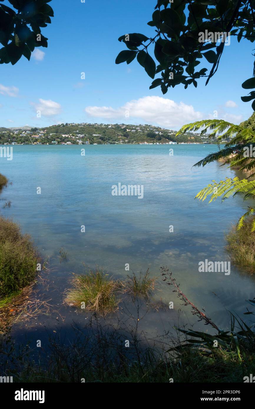 Pauatahanui Inlet, Porirua, North Island, New Zealand Stock Photo - Alamy